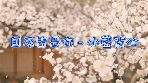 小藍背心 目及皆是你【動態歌詞】「我戒不掉你 像戒不了呼吸 漫長的距離 我用思念來代替 這寂靜星系 浪漫是你」｜ 美女 ｜ 古裝