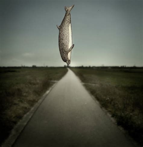 Tessa Posthuma De Boer Whale Catawiki