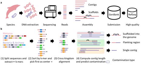 How Contamination Occurs And How Conterminator Detects It A Dna Download Scientific Diagram