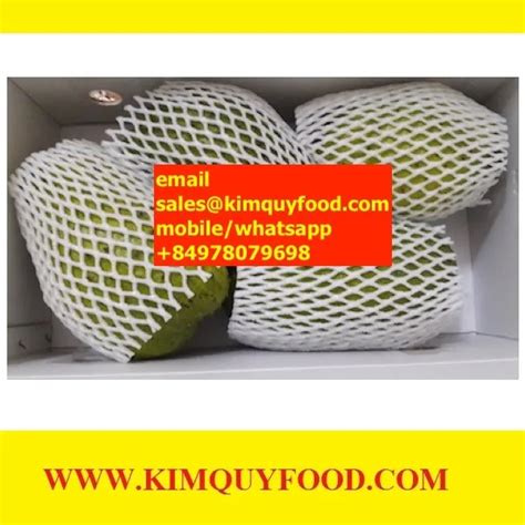 Soursop Pulp Seedless Frozen Soursop With Seed Soursop Without