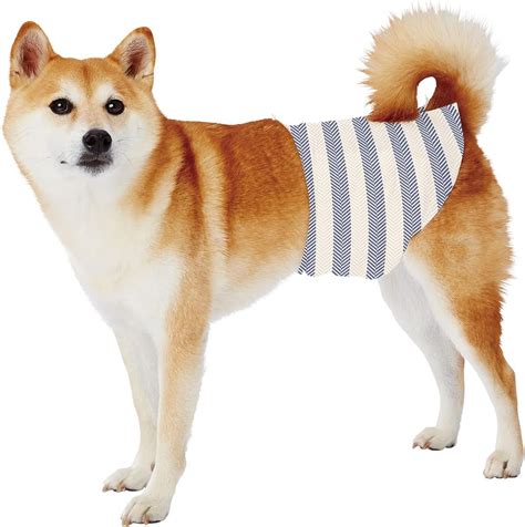 Amazon ペティオ Petio 犬用オムツ フレス たっぷり吸収するエチケットパンツ 男の子用 L12枚 ペティオ