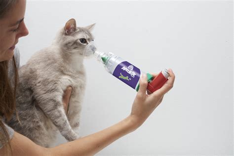 Pet Supplies Small Aerokat Feline Asthma Inhaler Knit Cover Silver Gray ...