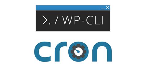 autoupdate wp cli and packages with linux cronjob