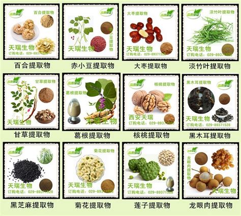 茶树花提取物 茶多酚8 供应 扶风斯诺特生物科技有限公司