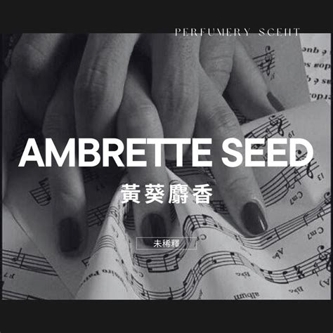 現貨｜黃葵麝香香精 Ambrette Seed Fragrance｜細膩柔和的植物麝香氣息｜調香 And 香氛創作適用 蝦皮購物