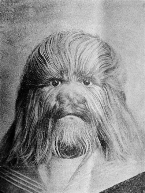 Bibrowski Stock Illustrations 2 Bibrowski Stock Illustrations Vectors And Clipart Dreamstime