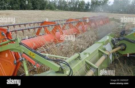 Claas Chopper Stock Videos And Footage Hd And 4k Video Clips Alamy