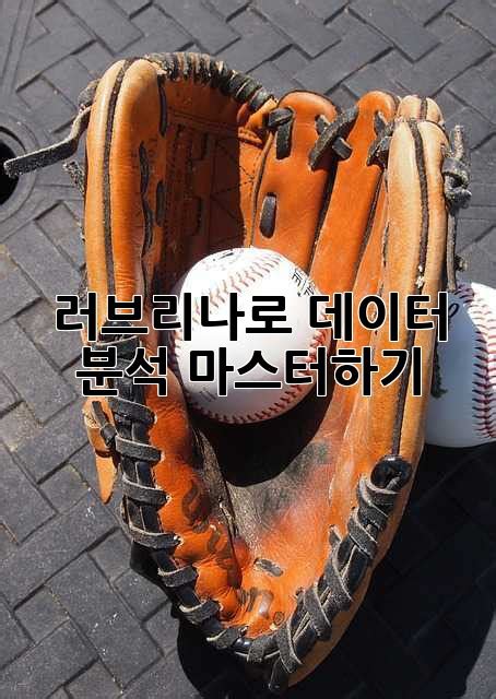 러브리나로 데이터 분석 마스터하기 러브리나로 데이터 분석 마스터하기
