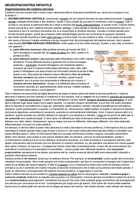 Appunti Di Neuropsichiatria Infantile Prof Cantalupo Appunti Di