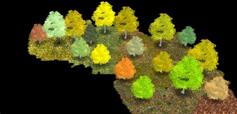 Lothlorien Set Image Return Of Shadow Mod For Battle For Middle Earth