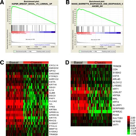 Gsea Gene Sets And Relative Expression Heatmap A Gsea Enrichment Plot Download Scientific