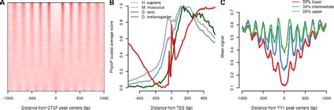 Examples Of Mga Data Analysis A Nucleosome Organization For The
