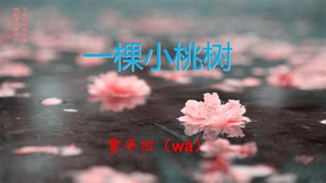 第19课一棵小桃树课件共22张PPT20222023学年统编版语文七年级下册 21世纪教育网