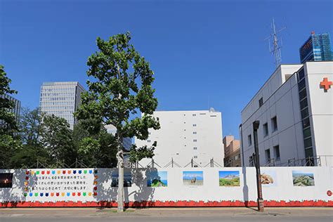 仮称札幌北1西5 旧北海道放送本社跡地 計画