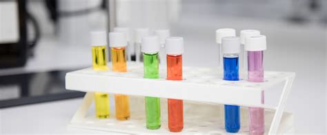 Bispecific Antibody Conjugates Service Solutions For Research Alpha