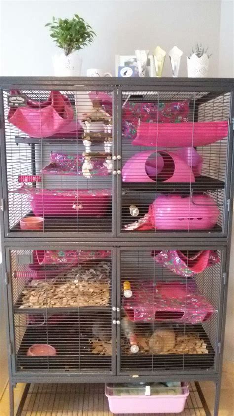 Small Rat Cage Cage À Rats Pour Maison Tvhgd