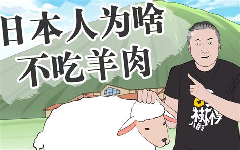 为什么日本人很少吃羊肉真实原因让人唏嘘不已 蛋解杂谈 蛋解杂谈 哔哩哔哩视频
