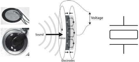 Audio Sensors Switches Potentiometers And Microphones