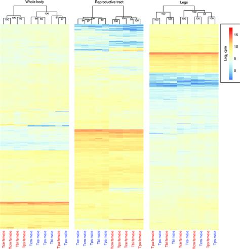heatmaps and hierarchical clustering of gene expression gene