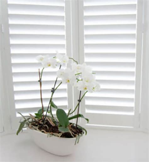 Straitline Blinds Darwin Plantation Shutters Commercial Residential