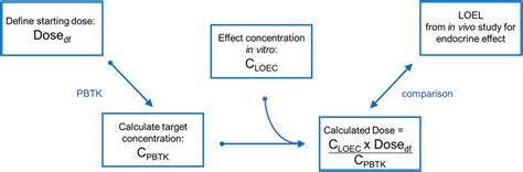 In Vitro To In Vivo Extrapolation Ivive Based On The In Vitro Loec