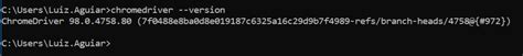 Instalando Chromedriver No PATH Do Windows LuizDeAguiar
