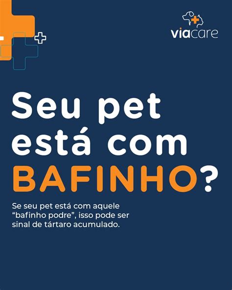 Viacare Veterinária 24h Viacare Vet • Instagram Photos And Videos