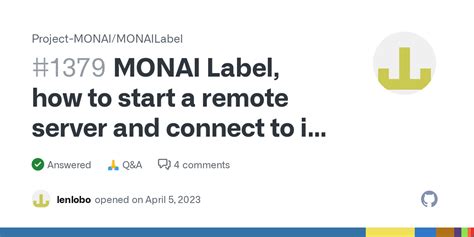 Monai Label How To Start A Remote Server And Connect To It Via A Remote Ip · Project Monai