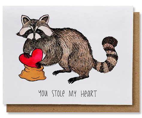 Pun Raccoon Meme