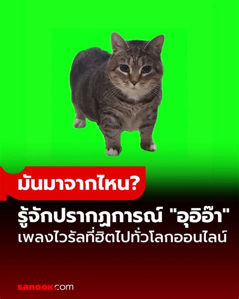 Sanook สนุกดอทคอม เพลงอันดับ 1 ในโลกโซเชียลมีเดียตอนนี้ มันมาจากไหน