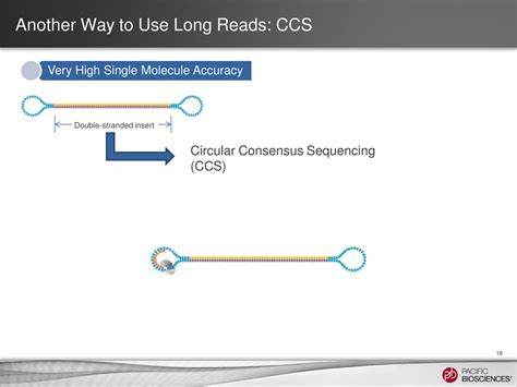 Specifics Of Smrt Sequencing Data Speaker Deck