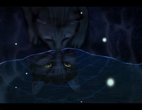 Image Aurora In At The Moonpool Free Realms Warrior Cats Wiki
