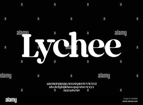 Bold Rounded Serif Typeface Display Font Vector Unique Soft Serif