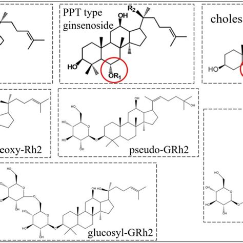 The Structures Of Cholesterol Ginsenoside And Their Derivative Download Scientific Diagram