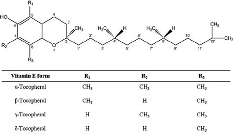 Diagrammatic Representation Of Structural Characteristics Of The Major