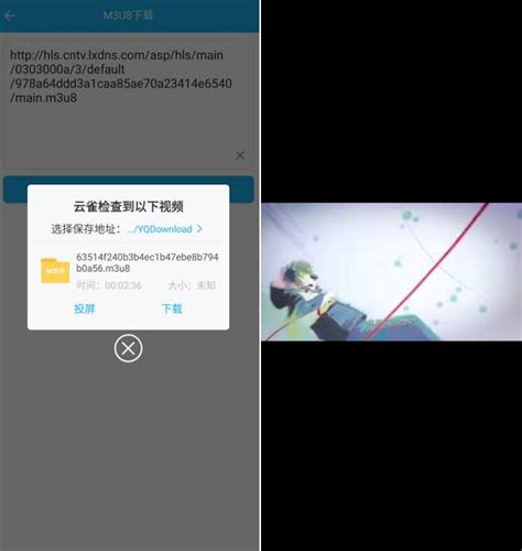 如何下载网页上的视频？ 知乎