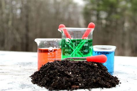 Understanding NPK Numbers On Your Fertilizer Label Plant For Success