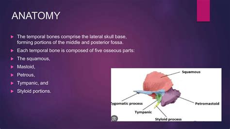 High Resolution Computer Tomographytemporal Bone Pathology Pptx