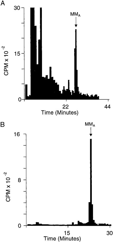 Comparison Of Chromatographic Properties Of 35 S Methionine Labeled
