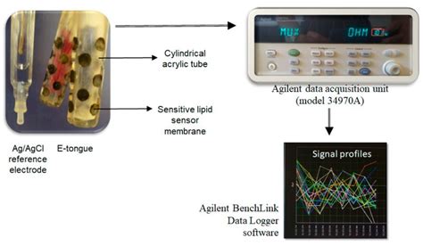Article Openaccess Potentiometric Etongue Water Food Bacteria… Chemosensors Mdpi