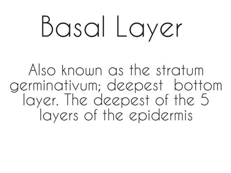 Basal Layer Medical Esthetician Esthetician Inspiration Esthetician