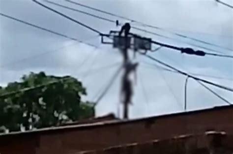 No Pará homem fica pendurado em poste após ser eletrocutado Metrópoles