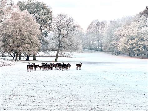 Countryclub Hotel Christmas Golfcourse Nature Ella Faller