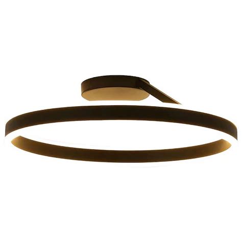 Led Ceilling Light 50cm 1 Light Ring Circle Design Dimmable Aluminum