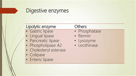 Digestion And Absorption Pptx