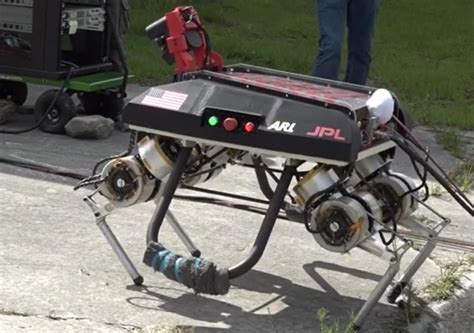 Biohybrid Robots On Tumblr