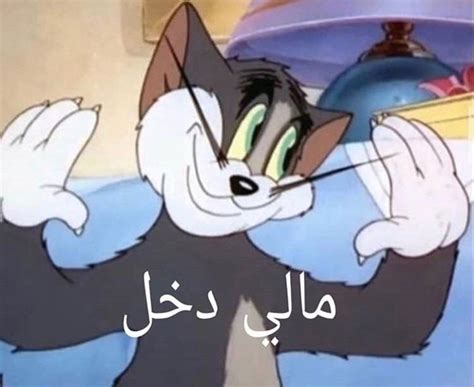 😹😹🌚 Funny Cartoon Quotes Funny Photo Memes Dora Funny