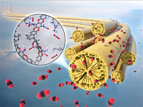 Bifunctionalized Polymeric Sorbents
