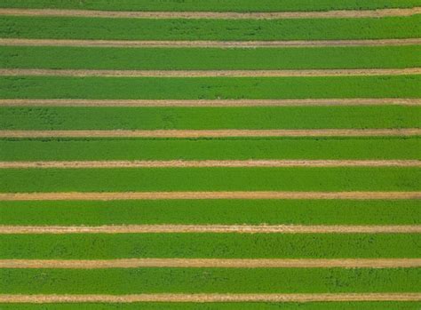Premium Photo Taking Care Of The Crop Aerial View Of Irrigation