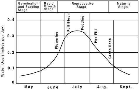 Water Use Of Soybean In Kansas At Different Growth Stages Download